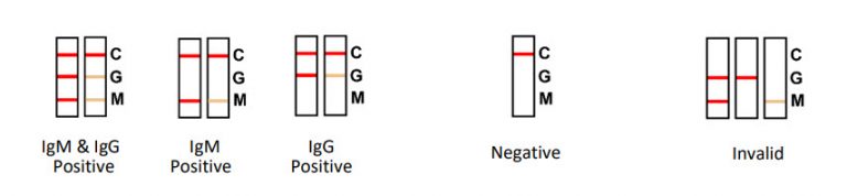 How to Use the Syphilis IgM/IgG Field Test Kit for Diagnostics?